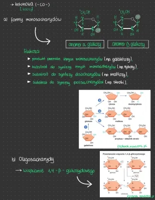 Budowa i Właściwości Cukrów: Monosacharydy, Fruktoza, Sacharoza ...