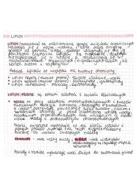 Wszystko o lipidach: Proste, Złożone i Izoprenowe Lipidy (Biologia ...