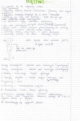 Proste wyjaśnienie: Budowa Grzyba i Rodzaje Strzępek - Klasa 5 ...