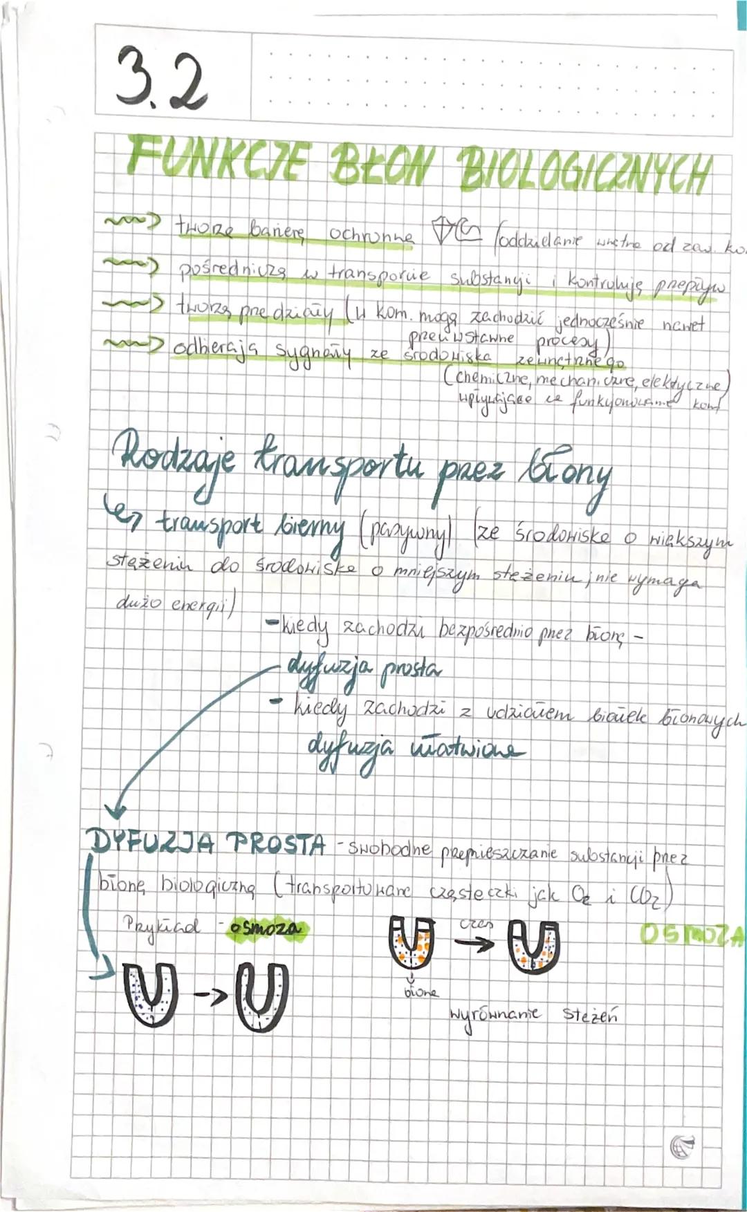 Budowa i funkcje błon biologicznych (Biologia) - Knowunity