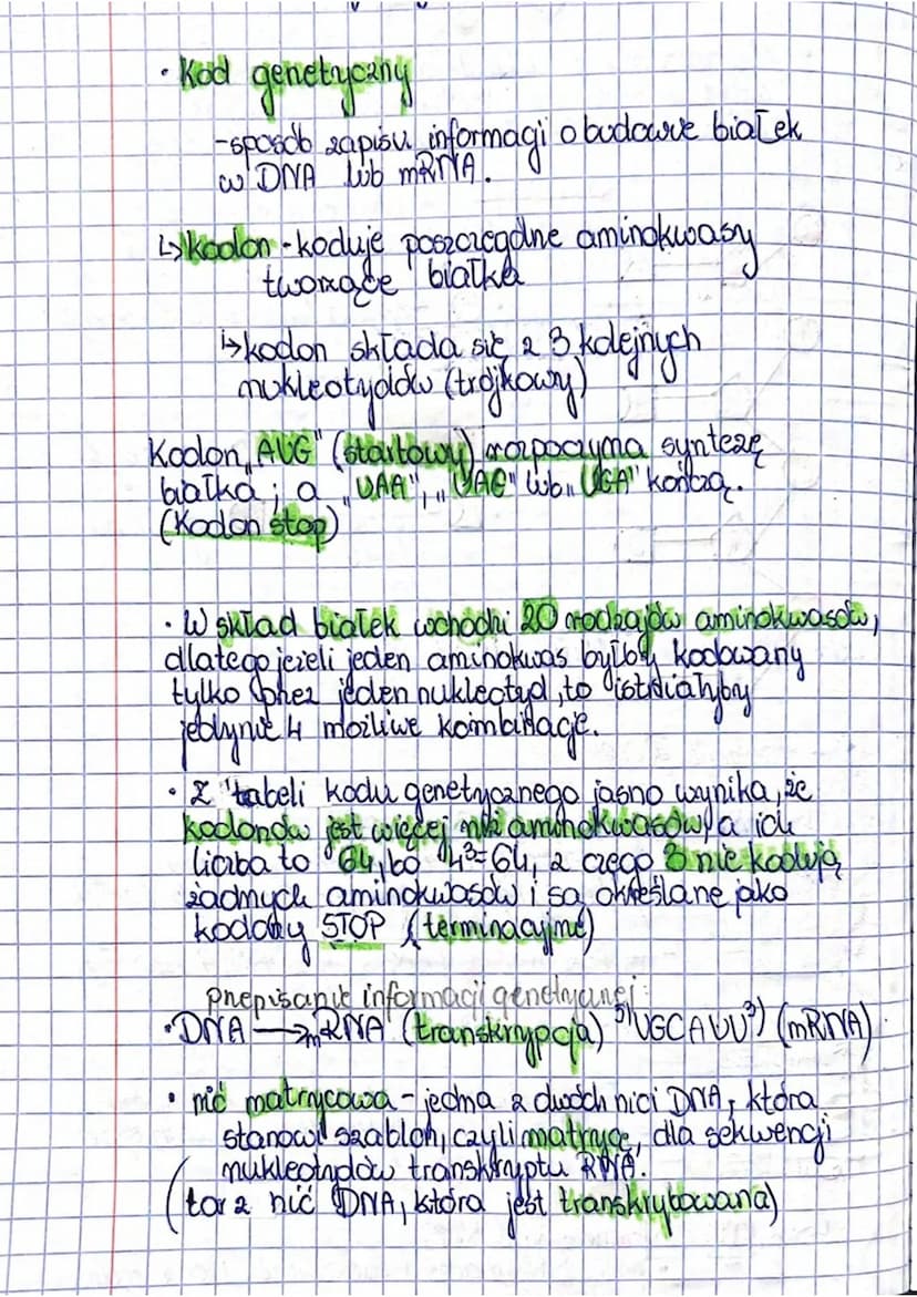 Cechy Kodu Genetycznego: Jak Łatwo Odczytać Kod Genetyczny (Biologia ...