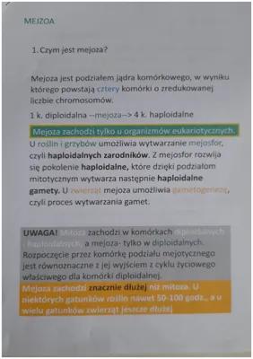Mitoza i Mejoza - Fazy i Podziały Komórkowe (Biologia) - Knowunity