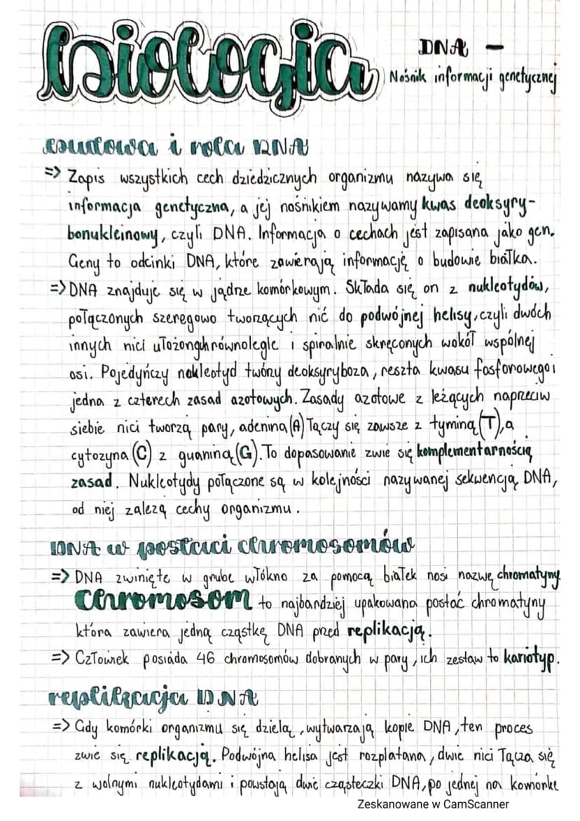 Budowa i Funkcje DNA, RNA - Genetyka klasa 8 | Biologia Nowa Era ...