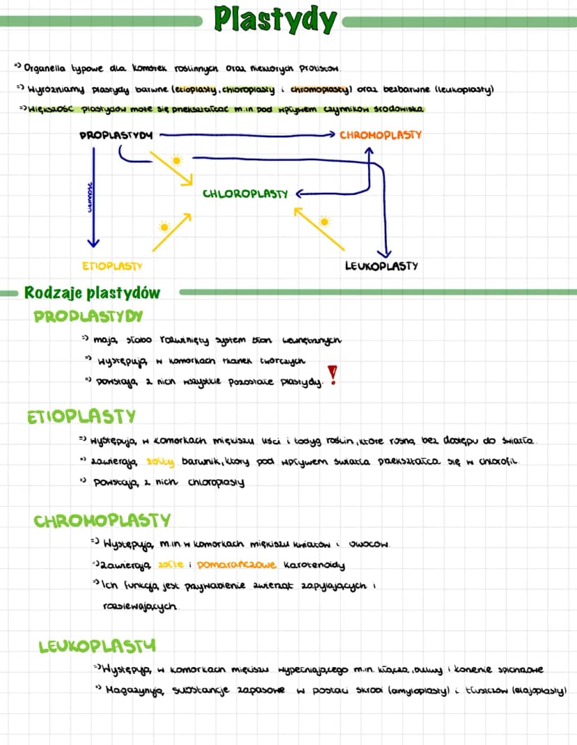 Plastydy i Fotosynteza: Jak Działa Świat Roślin (Biologia) - Knowunity