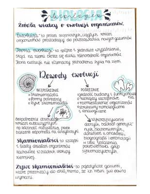 Ewolucja Człowieka: Etapy i Dowody (Biologia) - Knowunity