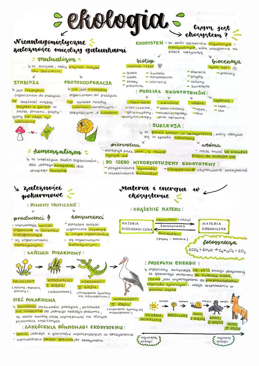 Ekologia klasa 8 notatka – Biologia Ekosystem i Zależności Pokarmowe (Biologia) - Knowunity