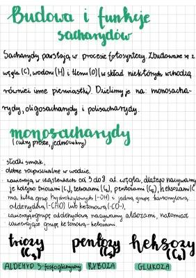 Węglowodany: Budowa, Monosacharydy i Polisacharydy! (Biologia) - Knowunity