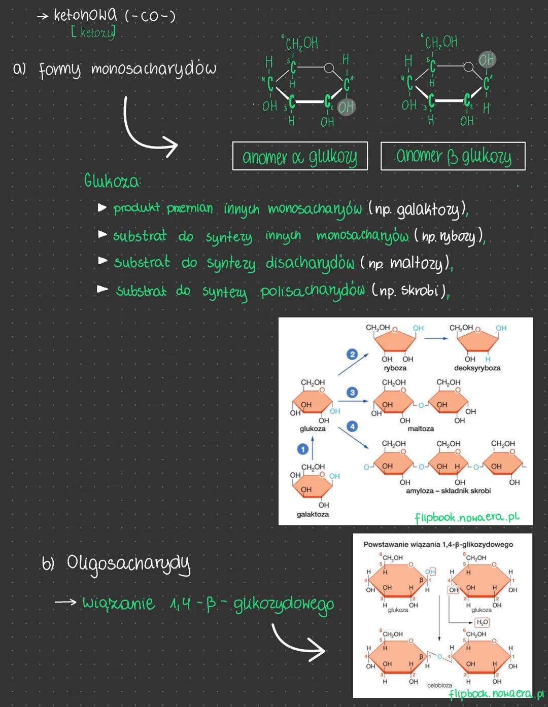 Budowa i Właściwości Cukrów: Monosacharydy, Fruktoza, Sacharoza ...