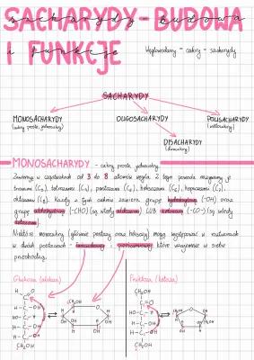 Węglowodany: Budowa, Monosacharydy i Polisacharydy! (Biologia) - Knowunity