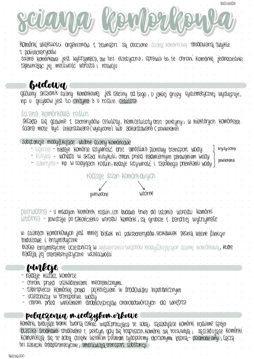 Budowa i Funkcje Ściany Komórkowej: Rośliny, Bakterie, Grzyby i ...