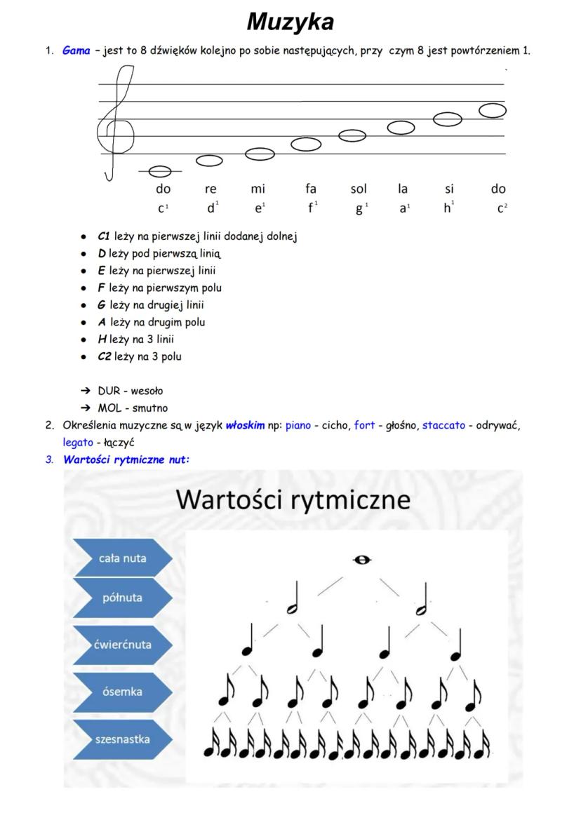Proste wyjaśnienie: Jak nauczyć się gamy C-dur i wartości rytmiczne nut ...
