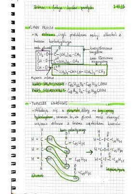 Proste wyjaśnienie: Jak działają lipidy i jakie są różnice między ...