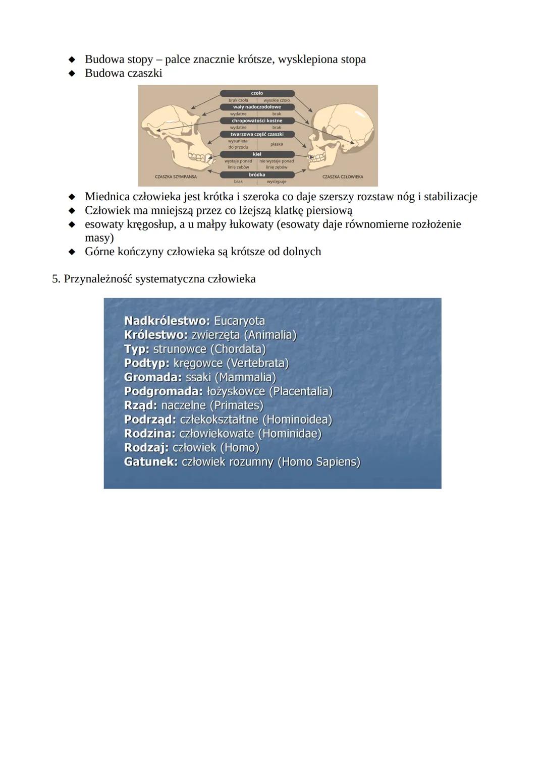 Miejsce człowieka w systemie klasyfikacji organizmów: notatka i zadania ...
