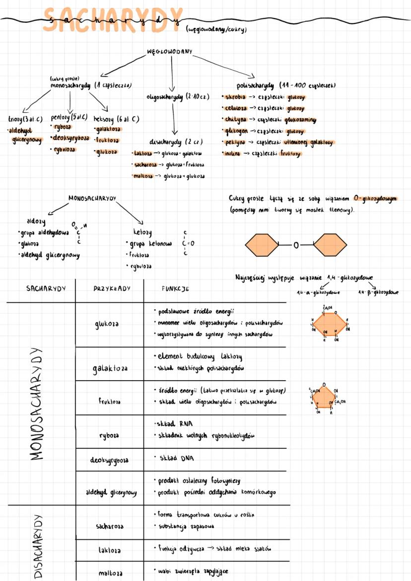 Proste wyjaśnienie: Budowa i funkcje sacharydów: Monosacharydy ...