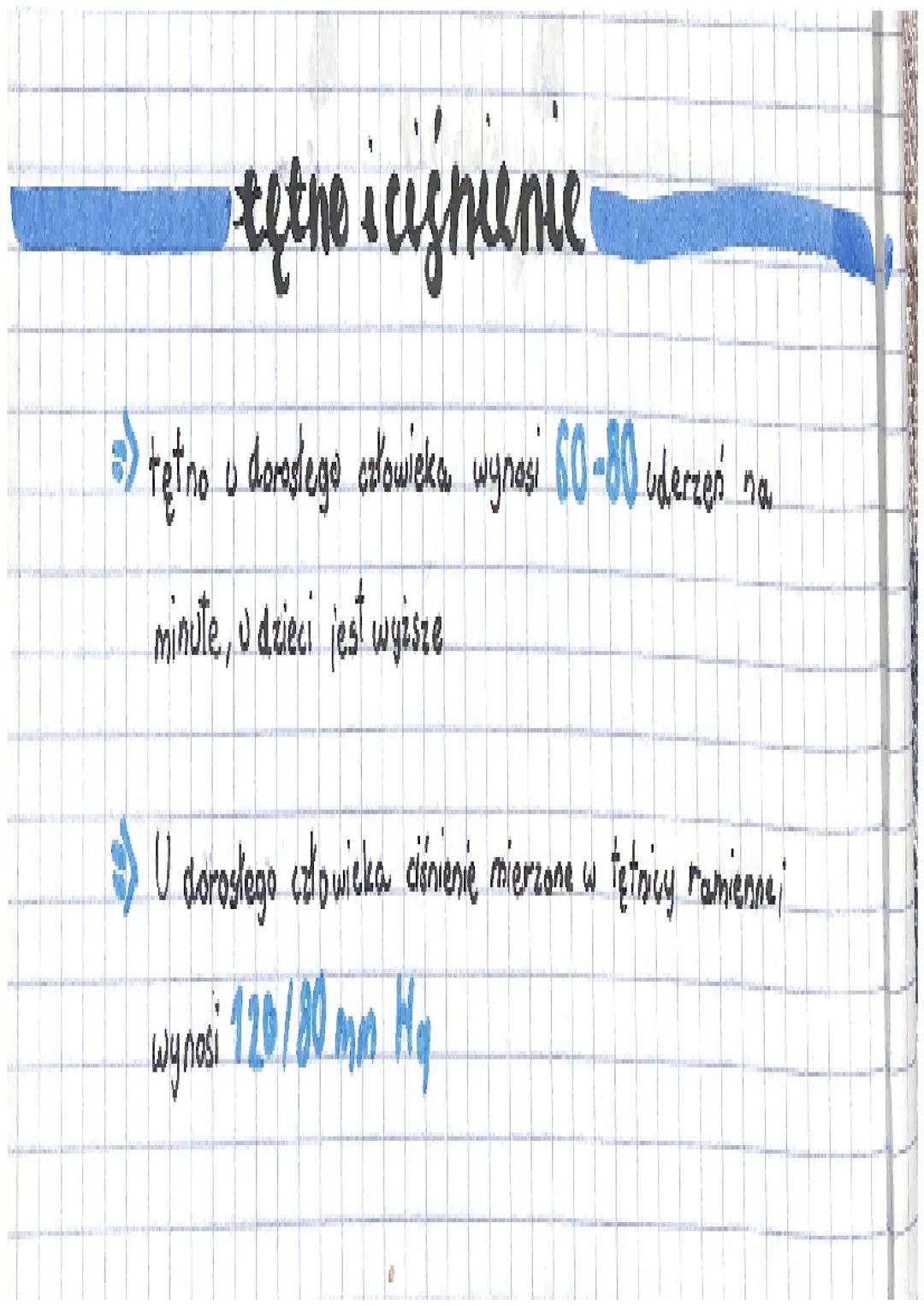 Jak działa serce? Budowa, tętno i cykl pracy (Biologia) - Knowunity