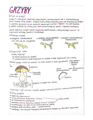 Proste wyjaśnienie: Budowa Grzyba i Rodzaje Strzępek - Klasa 5 ...