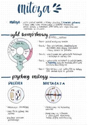 Mitoza i Mejoza: Co to Jest i Jak Działa? (Biologia) jako PDF - Knowunity