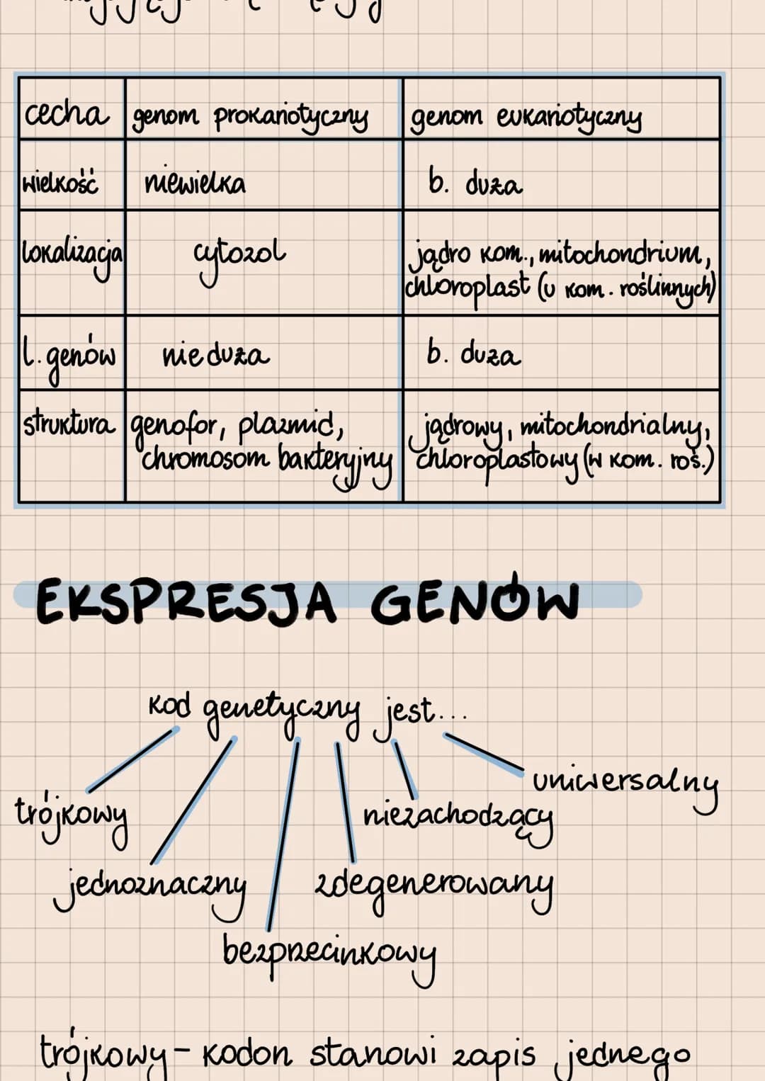 Genetyka molekularna (Biologia) - Knowunity