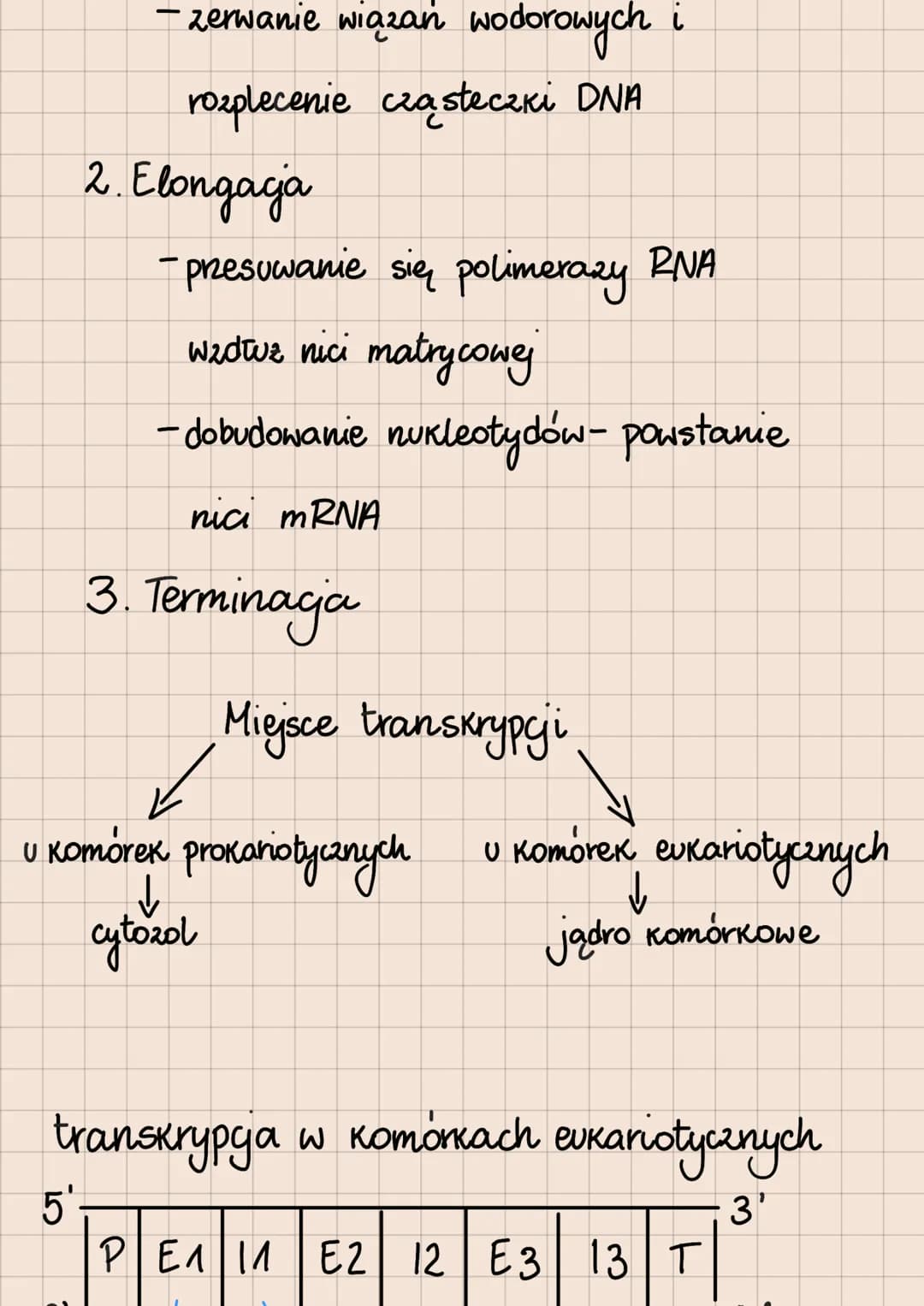 Genetyka molekularna (Biologia) - Knowunity