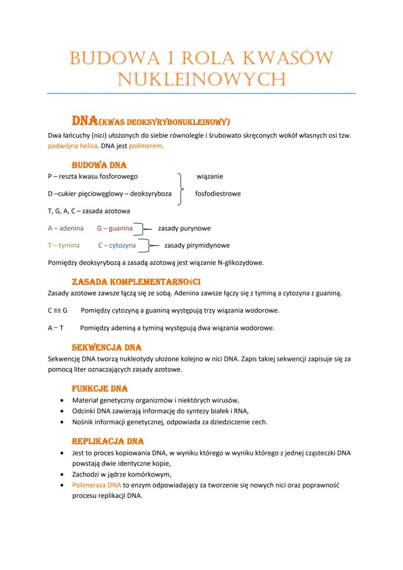 DNA i RNA - Budowa, Funkcje i Replikacja (Biologia) - Knowunity