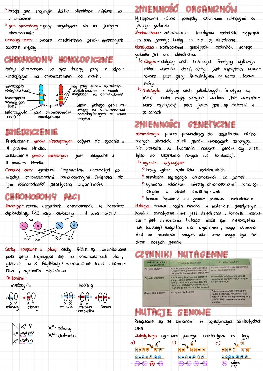 Genetyka klasyczna. Sprawdzian, notatki i zadania - Klasa 3 (Biologia ...