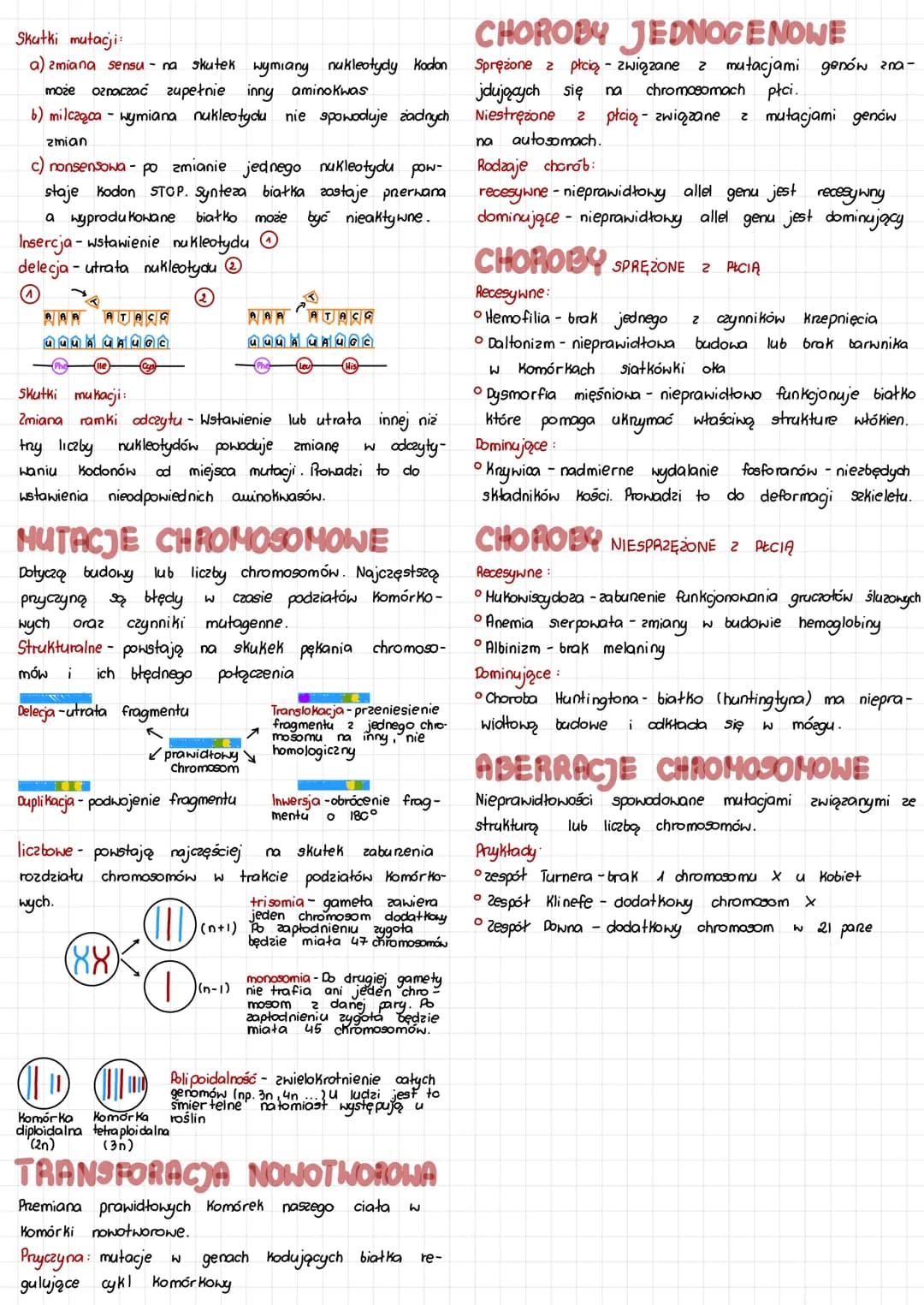 Genetyka klasyczna. Sprawdzian, notatki i zadania - Klasa 3 (Biologia ...