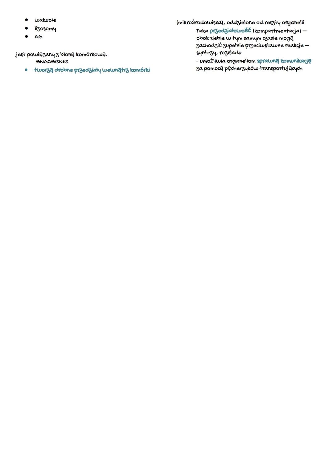 Jak działają lizosomy i peroksysomy - proste wyjaśnienie (Biologia ...