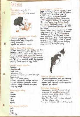 Typy rolnictwa w Afryce: Rolnictwo plantacyjne i żarowo-odłogowe dla ...