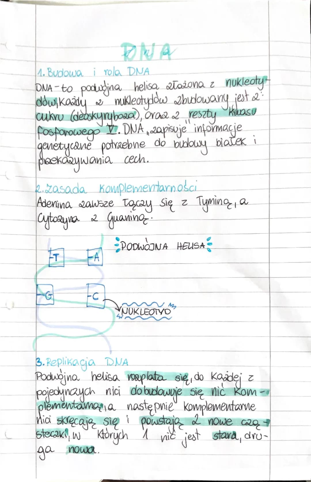 DNA: Budowa, Funkcje, Komplementarność i Proces Replikacji (Biologia ...