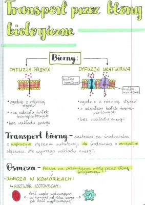 Transport przez błony biologiczne: Wszystko, co musisz wiedzieć (Biologia) jako PDF - Knowunity