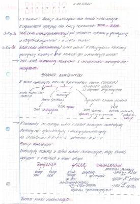 Proste wyjaśnienie: DNA i RNA: Budowa, Funkcje i Rysunki (Biologia ...