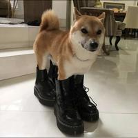 Biblia matura notatki i powtórka PDF 2025 - Antyk i Biblię w literaturze (Język polski) jako PDF ...