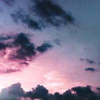 Czas present simple - Knowunity