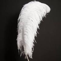 Proste wyjaśnienie: Czym są Tlenowce i Zastosowania Siarki? (Chemia ...