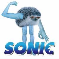 Polskie Państwo Podziemne - ściąga, notatka i prezentacja (Historia) jako PDF - Knowunity